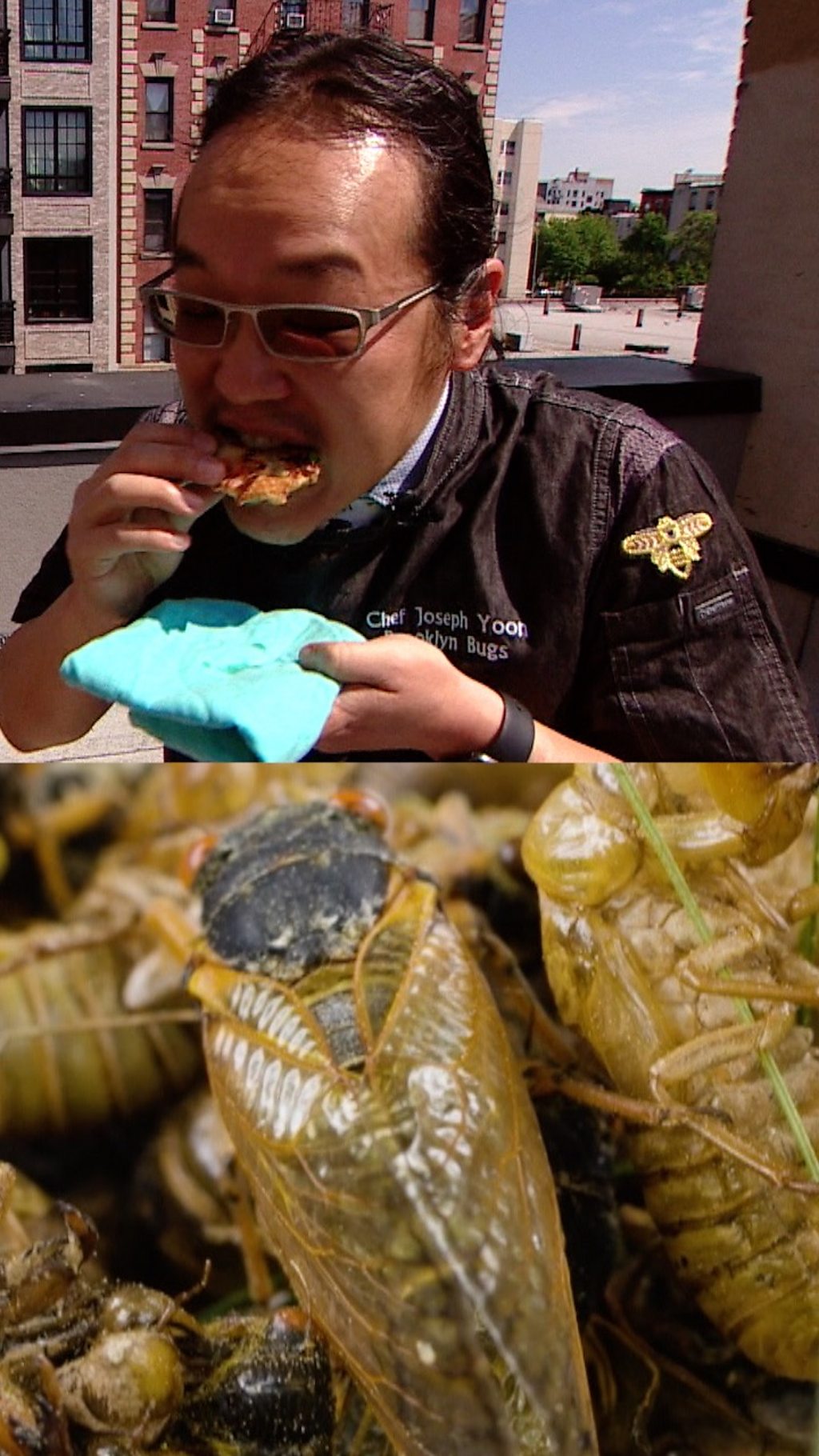 'Bug appetit': The chef cooking gourmet insects - BBC News