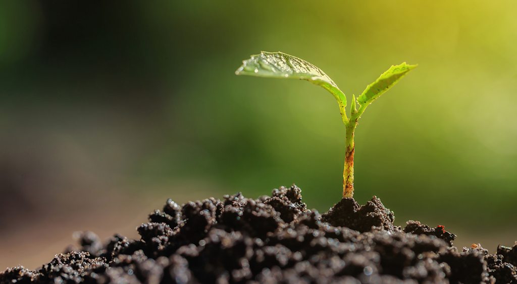 The poisonous origin of life on Earth