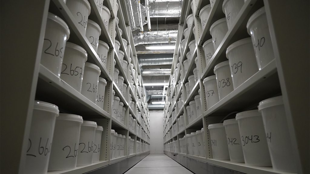 The Danish basement housing 10,000 human brains