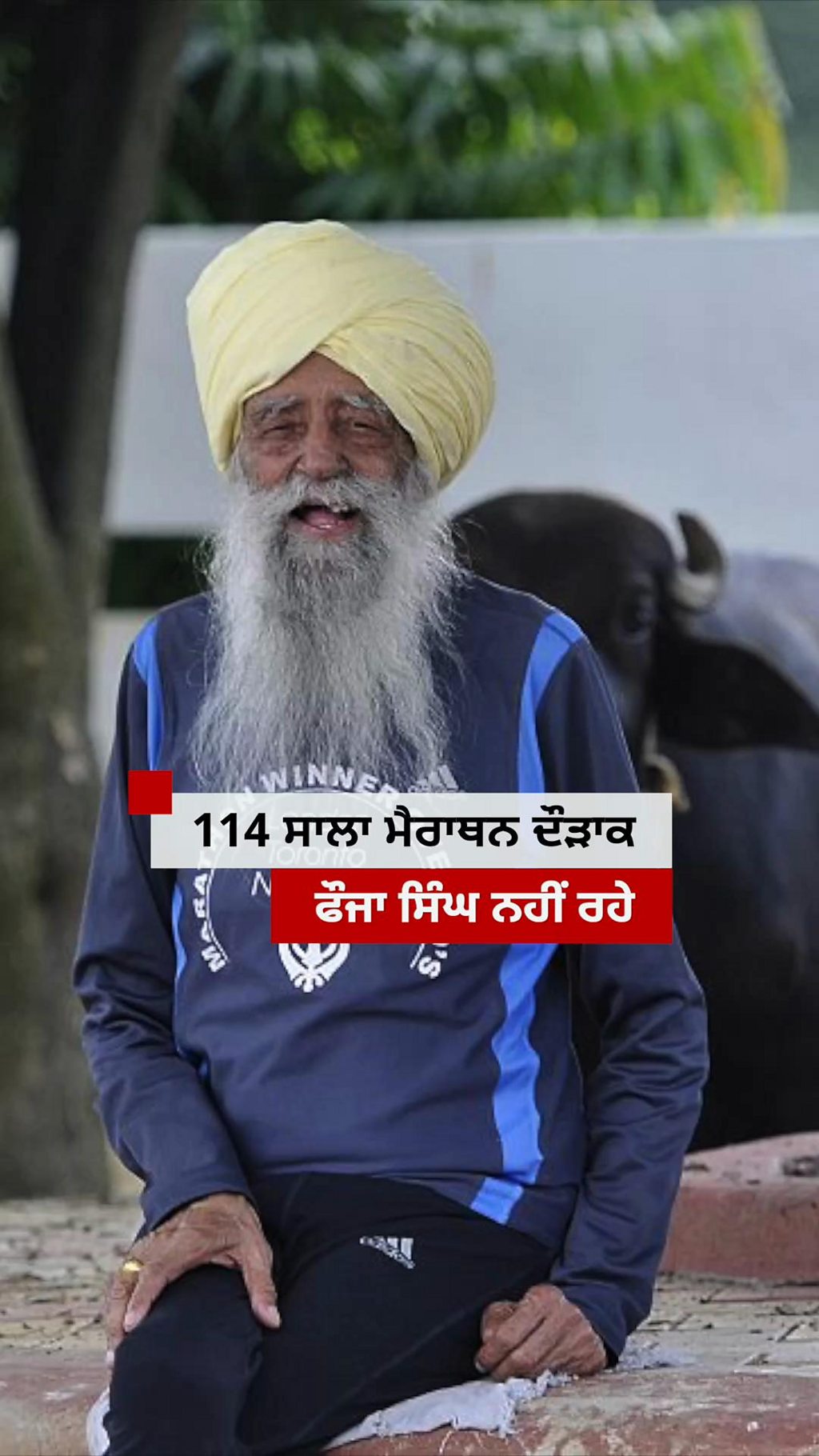 ਫੌਜਾ ਸਿੰਘ