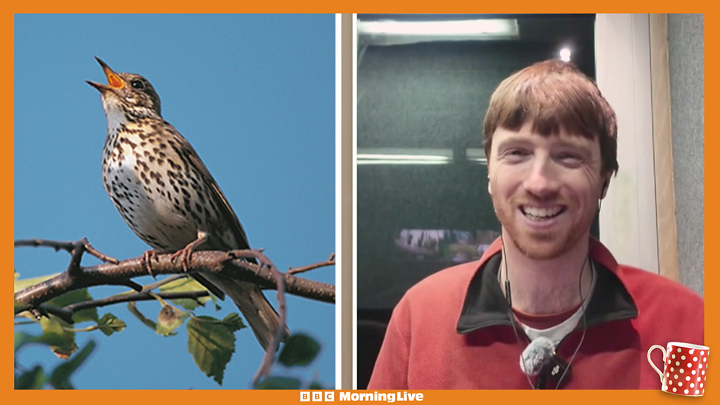 The Big Garden Birdwatch with Jack Baddams - BBC