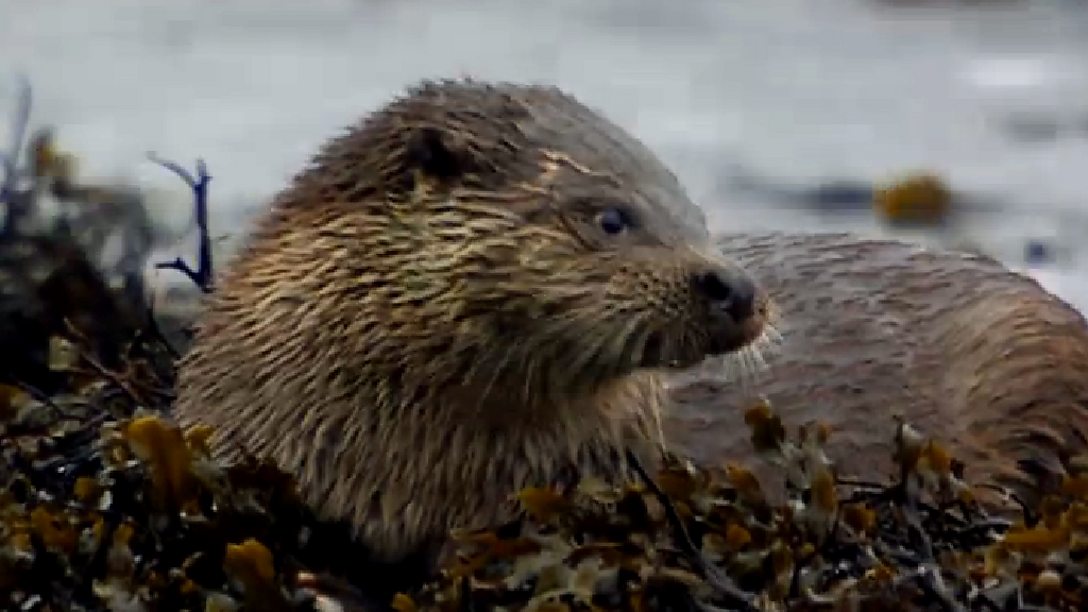 Programmes - BBC Food