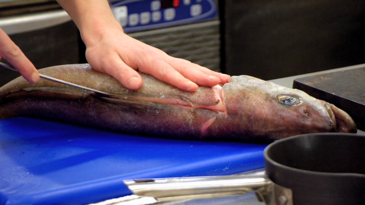 BBC Two - Great British Menu, Series 7, London and South East Fish ...