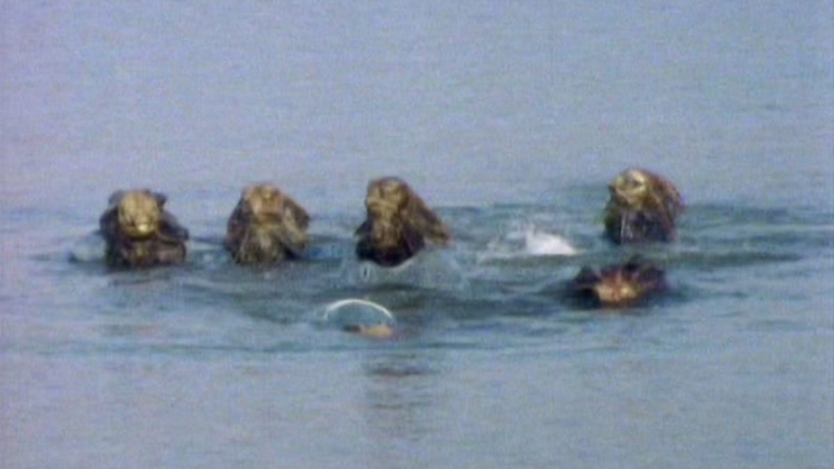 BBC One - Doctor Who (1963–1996), Season 9, The Sea Devils: Episode 5