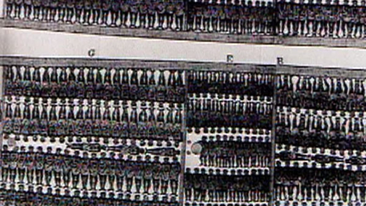 BBC Two - History File, Black Peoples of the Americas: Everyday Life on ...