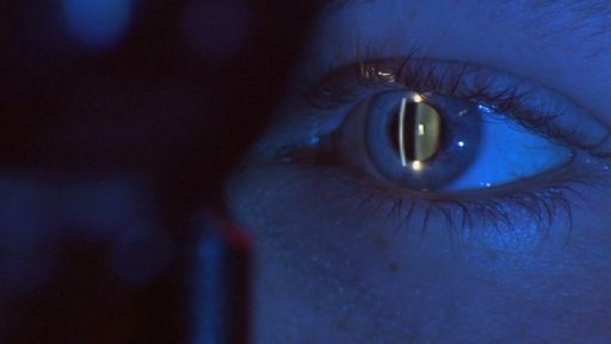 BBC Two - i-Science, Structure of the eye