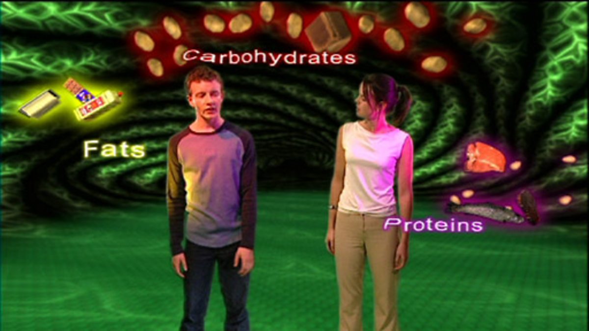 BBC Two - KS4 Curriculum Bites, Science 14-16, Nutrient groups and ...