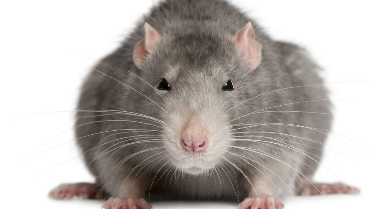 BBC Radio 4 - You and Yours, Can patients with private medical ...