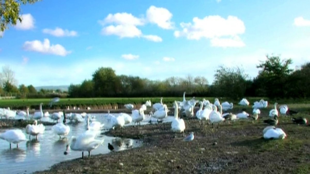 BBC Two - Curriculum Bites, Future Landscapes: Climate Change and ...