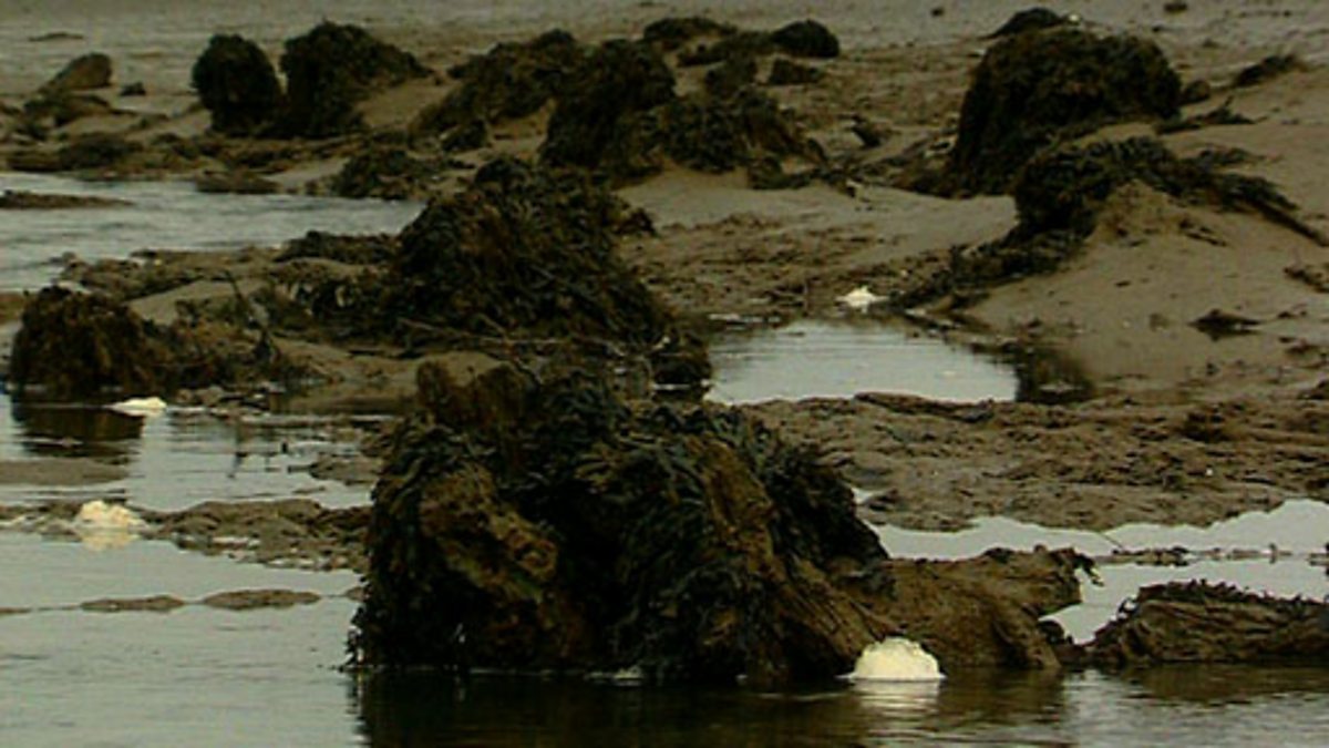 BBC Two - Coast, Learning Zone Highlights, A Changing Geography ...