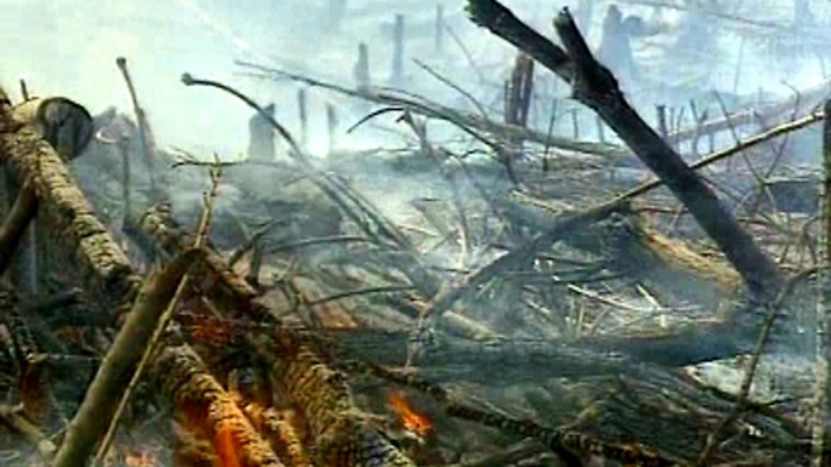 BBC Two - World Physical, Rainforest destruction - Kalimantan ...