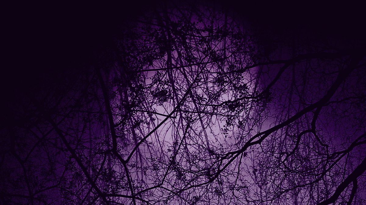 BBC Radio 4 Extra - Bram Stoker - Dracula, 1. No One, John Dougall on ...