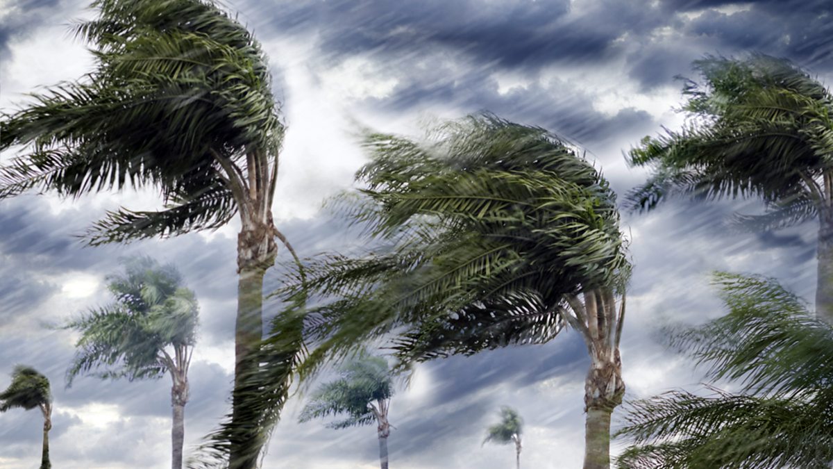 BBC Radio 4 - Letter from America by Alistair Cooke, Hurricane Elena, 1985