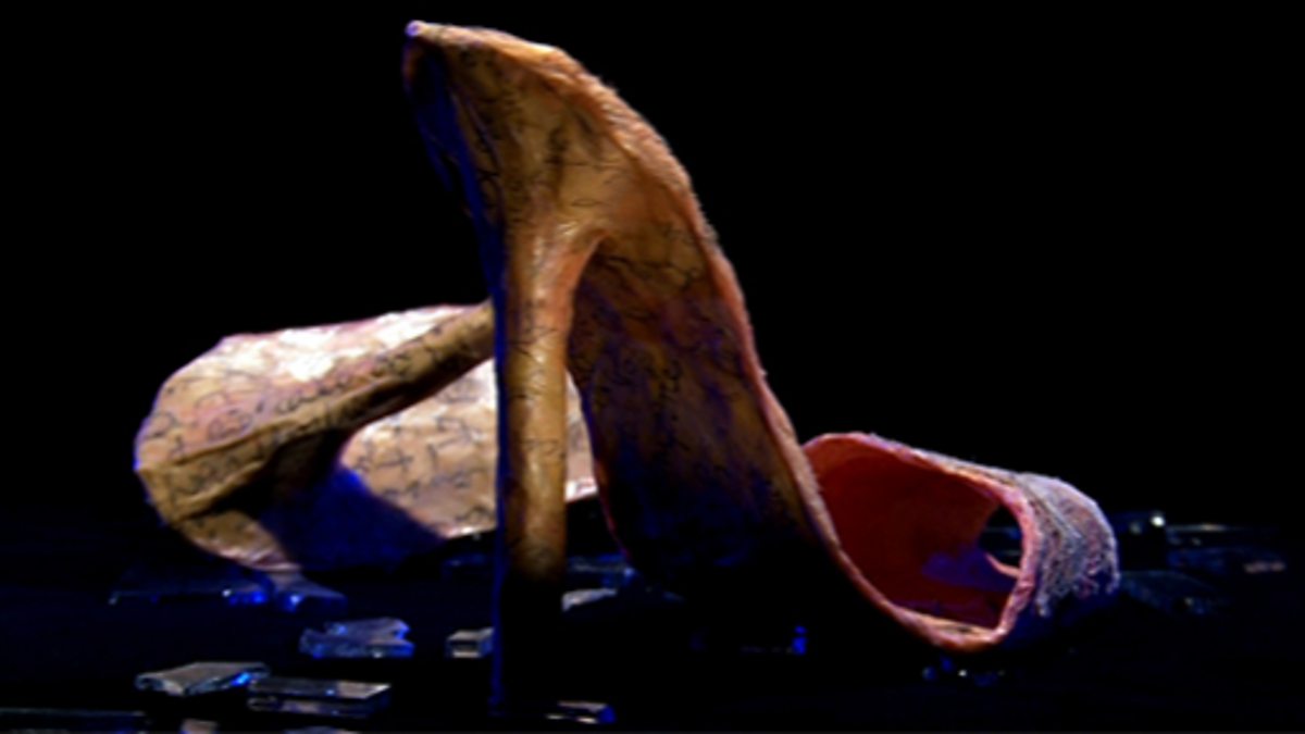 BBC Two - Contemporary Visions, Jenni Dutton and mackerel skin dresses