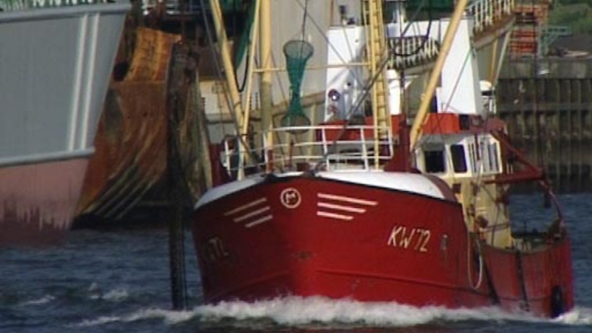 BBC Two - Primary Geography, World Environmental Changes, World ...