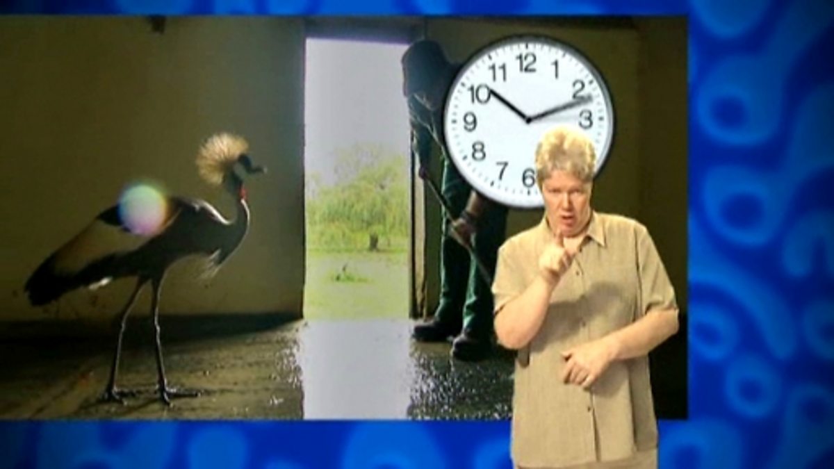 BBC Two - The Maths Channel, Year 5 - Problems, Real life time problem ...