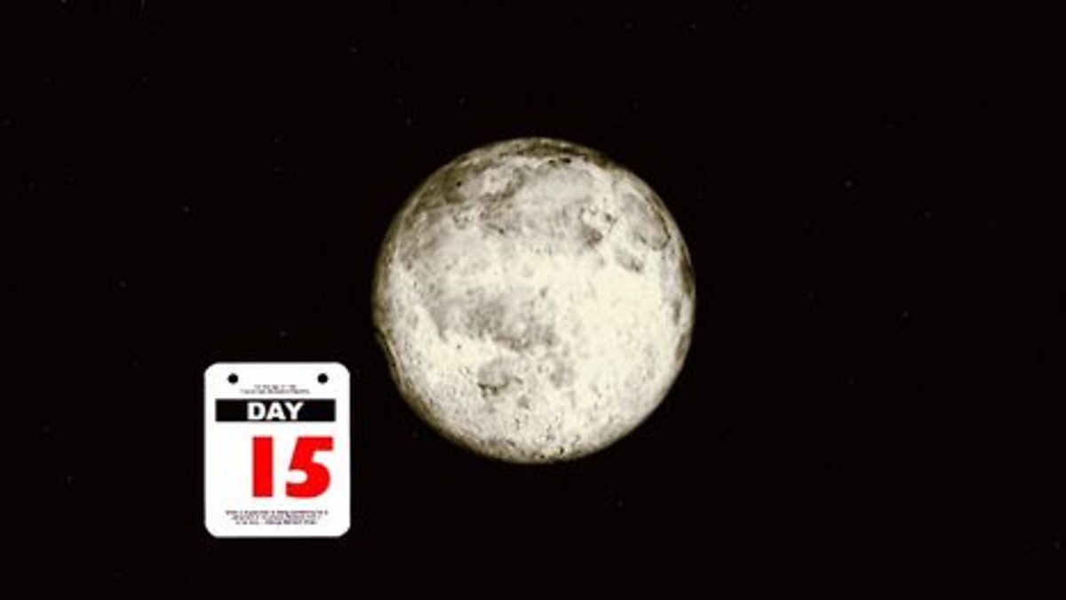 BBC Two - Watch, Celebrations, Islam, The new moon and Eid