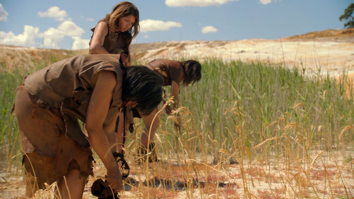 BBC One - Andrew Marr's History of the World, Original Series, The ...