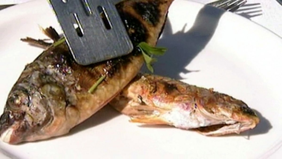 BBC Two - Science Clips, Keeping Healthy, Food needed by the human body