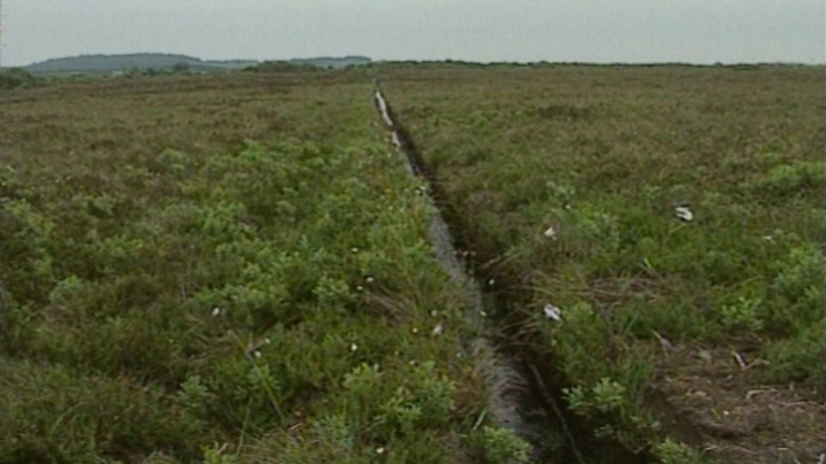 BBC One - Inside Ulster, Inside Ulster Episode, Peat bog in Northern ...