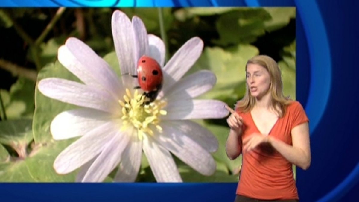 BBC Two - Science Clips Investigates, Habitats, The arrival of spring ...