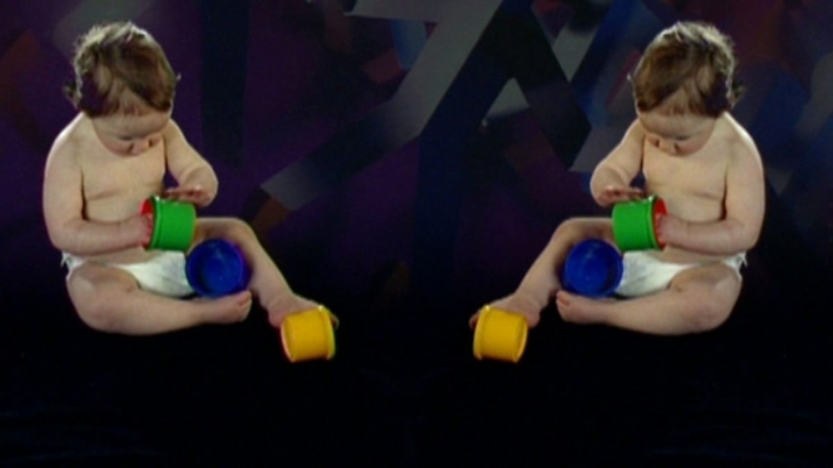 BBC Two - Let's Write Non-Fiction, Discussion - Human Cloning, The ...