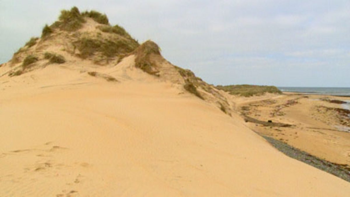 BBC Two - Intermediate/Higher Geography, Physical Features: Coastal ...