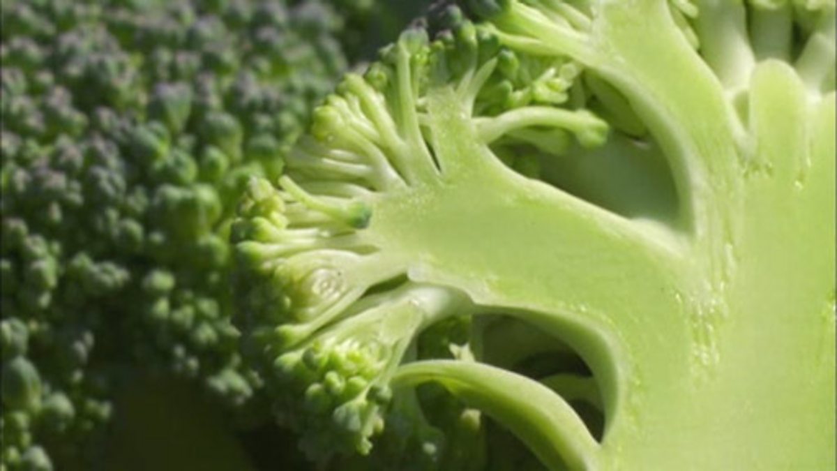 BBC One - Jimmy's Food Factory, Second Helpings, Episode 2, Why keep ...