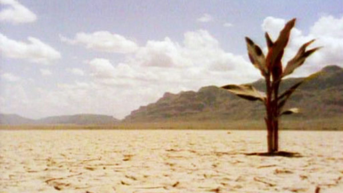 BBC Two - Intermediate/Higher Geography, Development and health, The ...