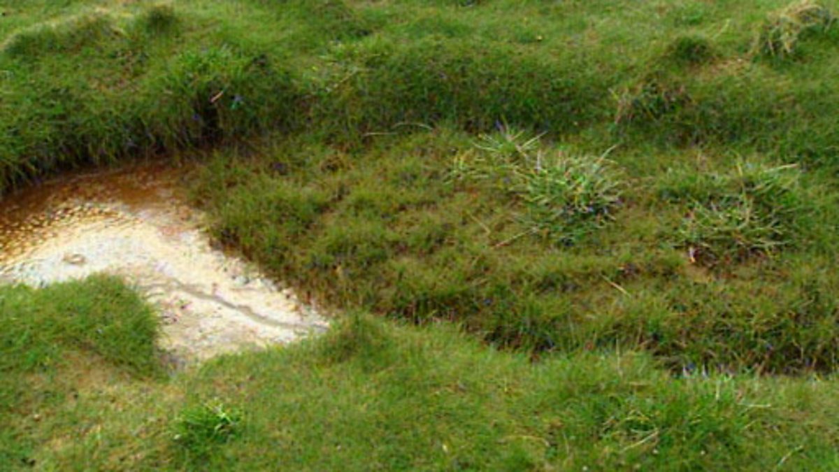 BBC Two - Intermediate/Higher Geography, Physical Features: Coastal ...