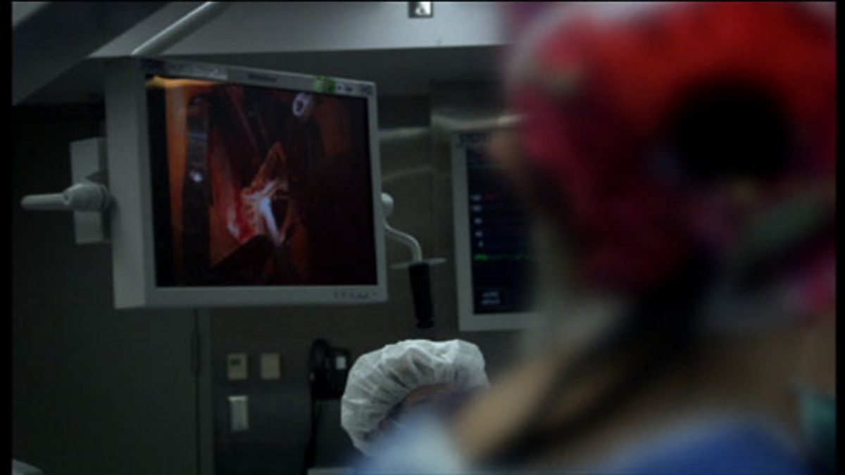 BBC Two - Inside the Human Body - Learning Zone, The human heart