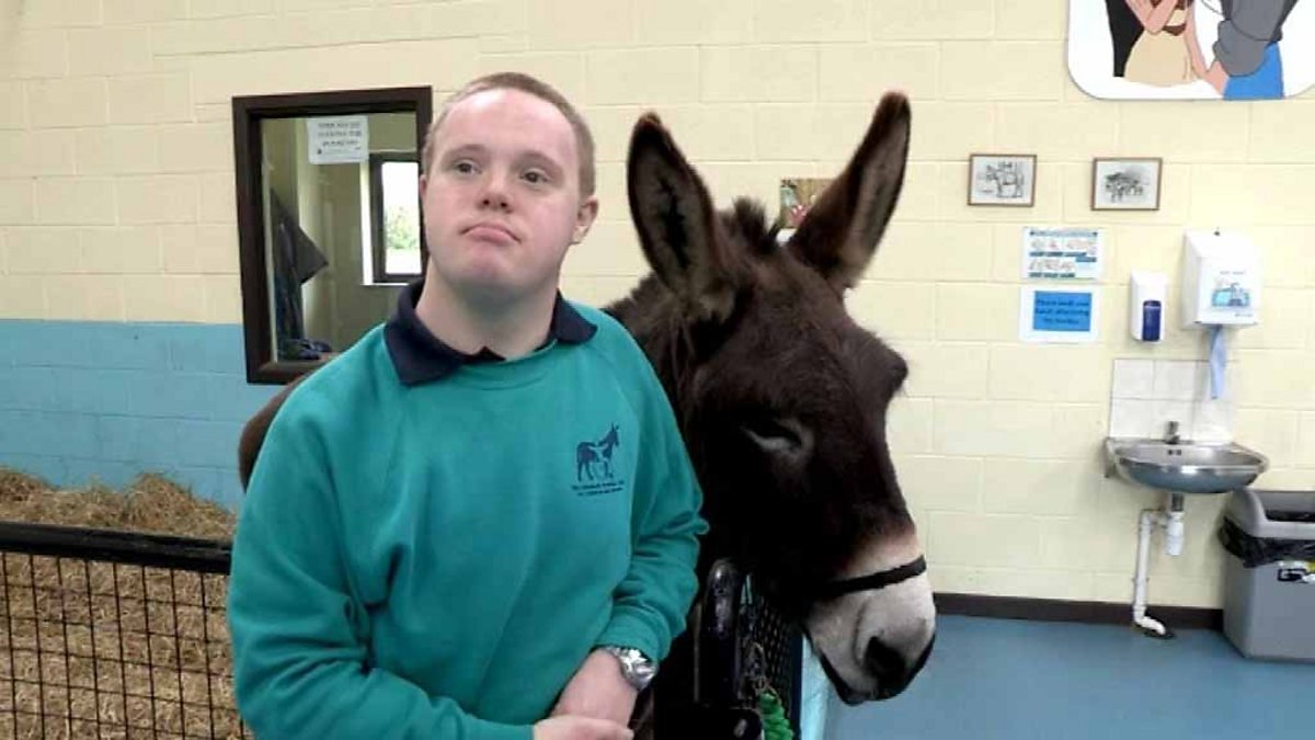 BBC - About the BBC Clips, Ian Symington, a volunteer with the Donkey ...
