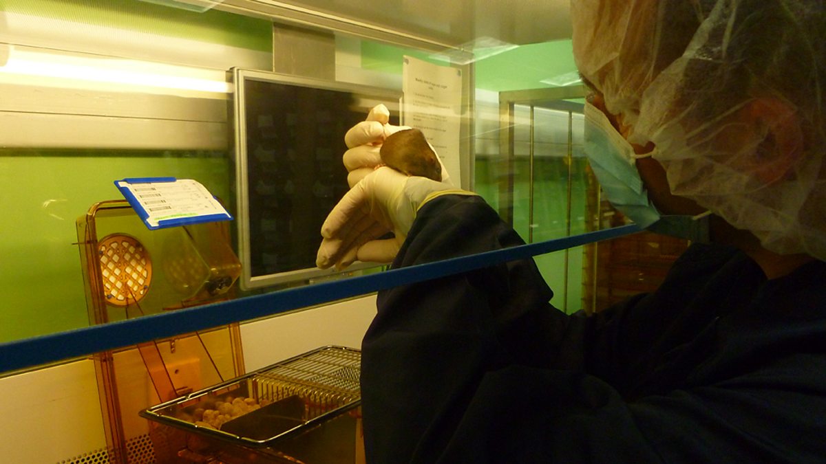 BBC Radio 5 Live - Victoria Derbyshire, 04/12/2012, Professor ...