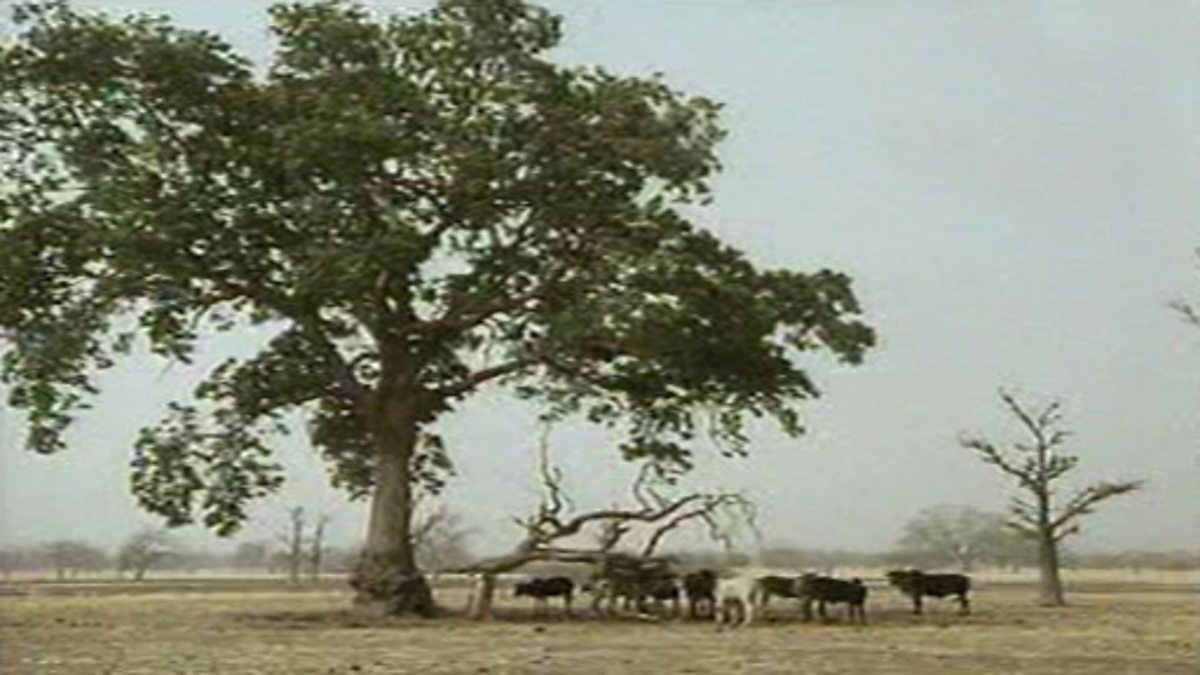 BBC Two - Bitesize: Geography, Burkina Faso – local impact of ...