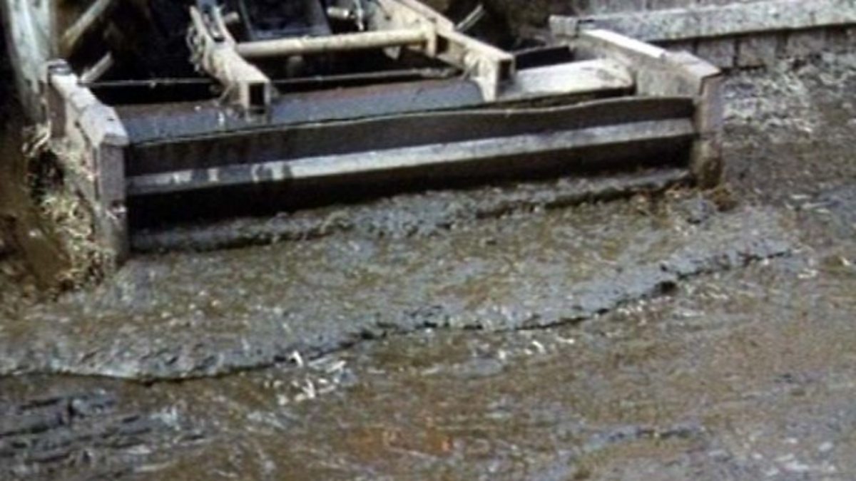 BBC Two - How Green, Poison in the Well, How Farm Slurry Pollutes