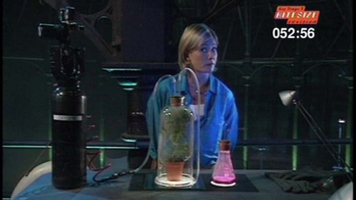BBC Two - Key Stage Three Bitesize Revision, Science 1, Respiration in ...