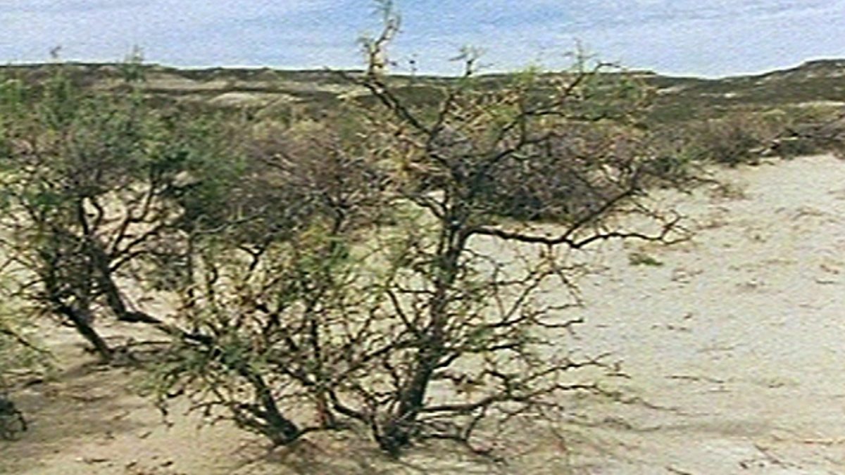 BBC One - Plant y Paith, I Wlad Sydd Well I Fyw, Plant y Paith