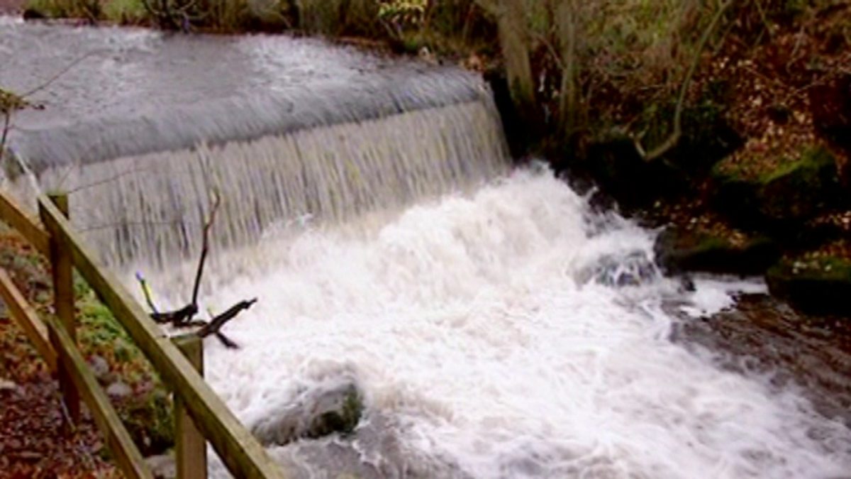 BBC Two - Wild About Nature, Episode 2, Salmon