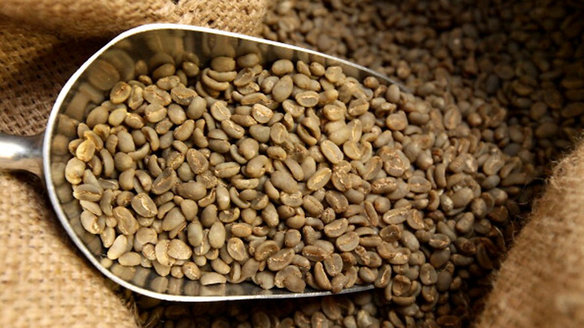 BBC World Service - The Forum, What’s the best way to build up new ...