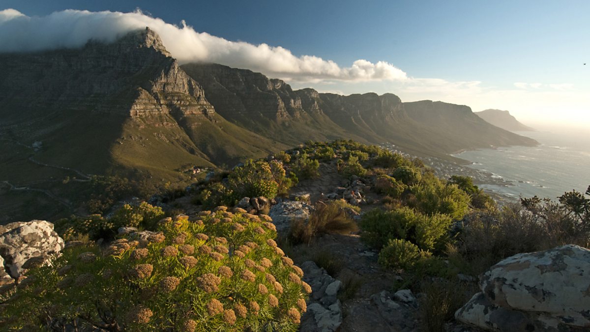 BBC One - Africa, Cape, In pictures: Cape - The Cape of Good Hope