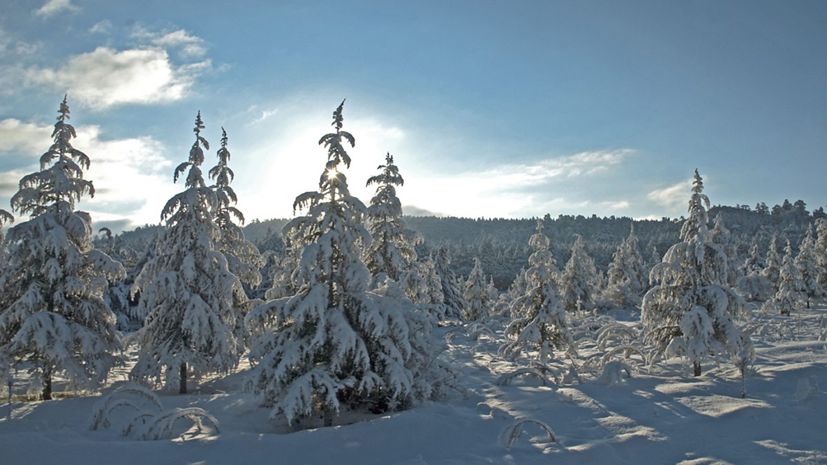 BBC One - Africa, Sahara, In pictures: Sahara