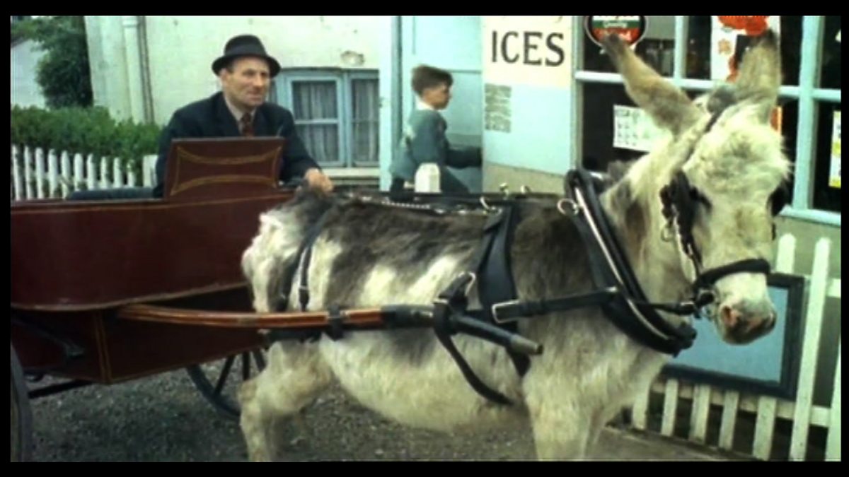 BBC Four - Britain on Film, Series 1, Animal Magic, Animal Magic ...