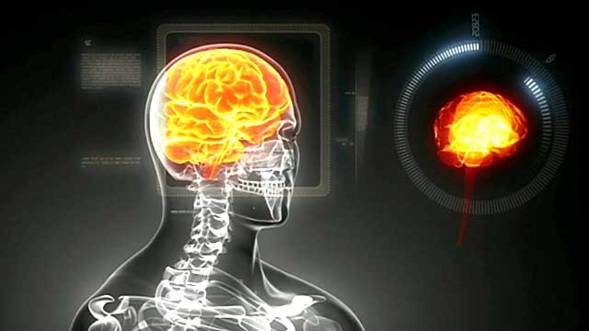 BBC News - Click, 02/02/2013 GMT, Super computers to map the human brain