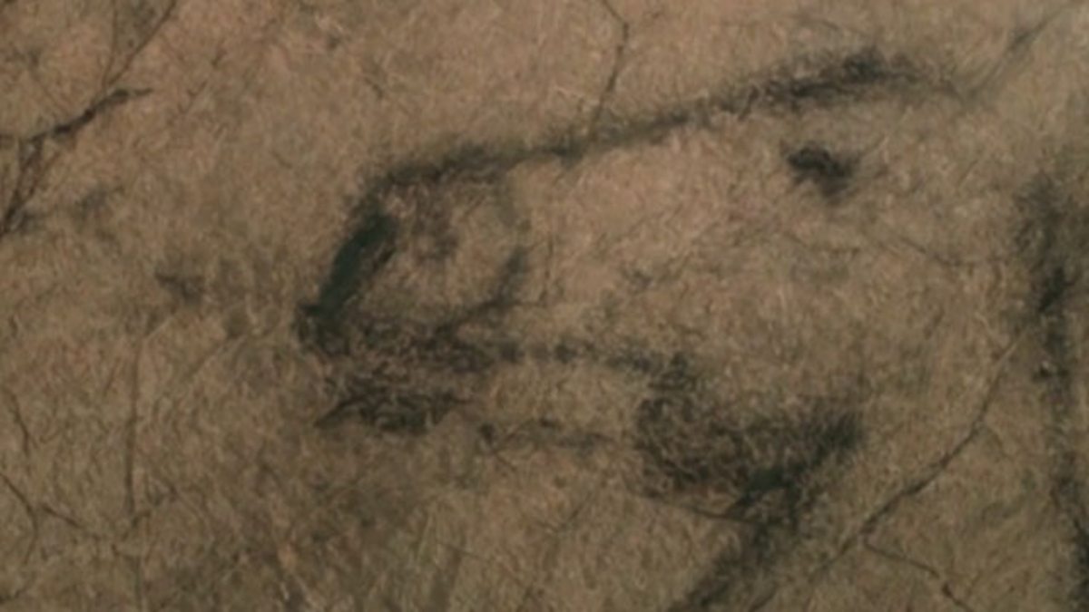 BBC Two - The Culture Show, Ice Age Art: A Culture Show Special, Andrew ...