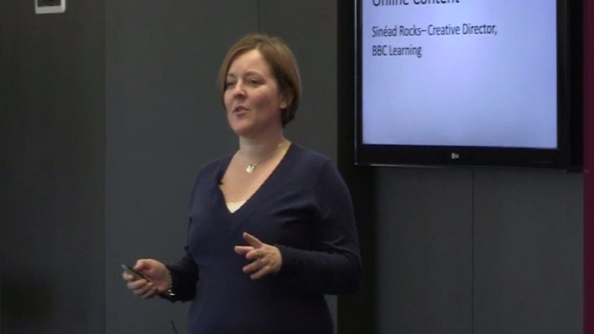 BBC - Learning, Sinéad Rocks: 23 November 2012: Commissioning Briefing ...