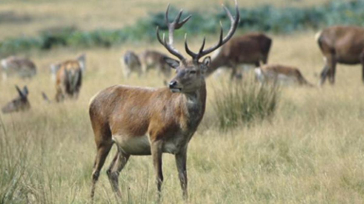 BBC Radio Cambridgeshire - Andie Harper's Mid-Morning, 07/03/2013 ...