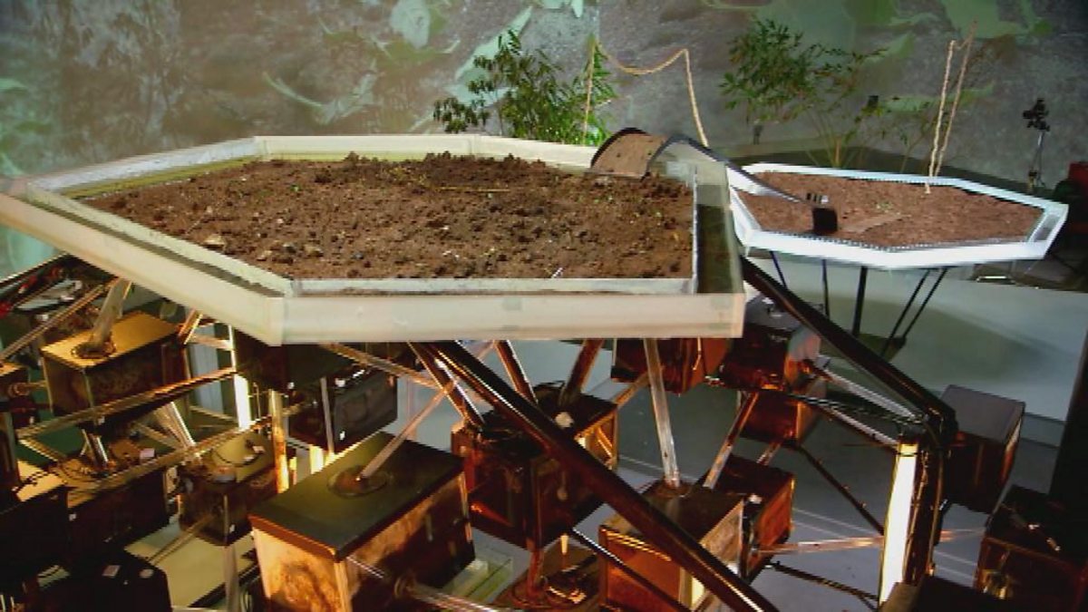 BBC Two - Life on Planet Ant - Learning Zone, Life on Planet Ant ...