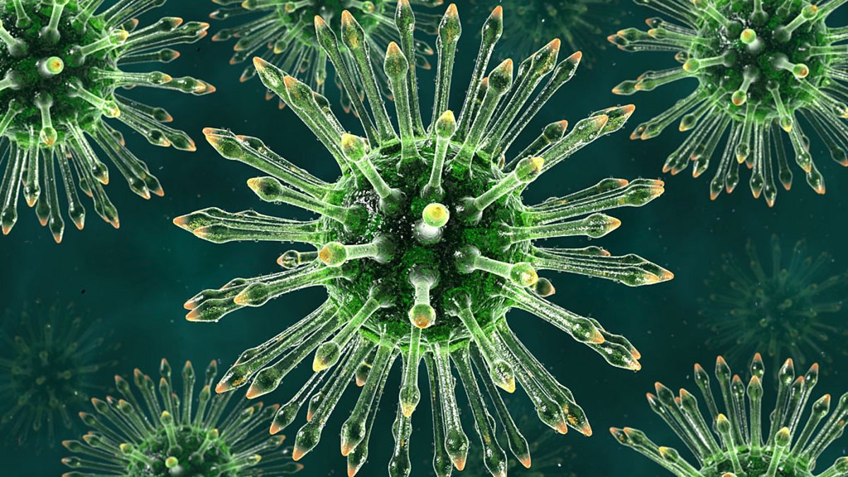 BBC World Service - The Forum, Viruses: in medicine, technology and in ...
