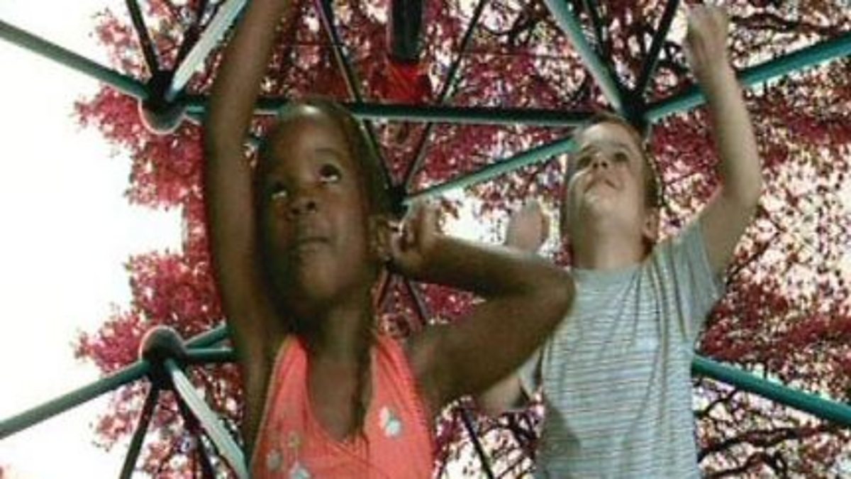 CBeebies - Boogie Beebies, Going to the Park