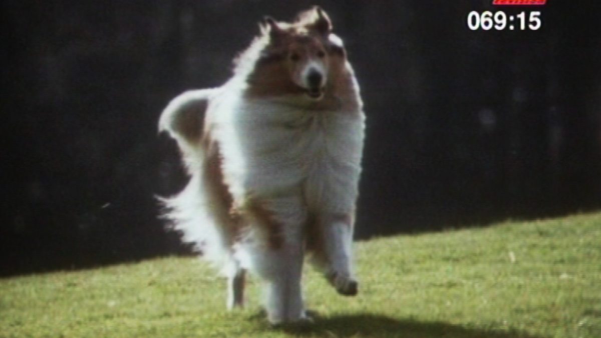 BBC Two - Key Stage Three Bitesize Revision, Science 1, Selective ...